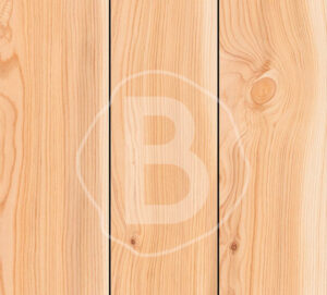 CHAPA DE CEDRO DEL LIBANO (HOJA_MUESTRA) – BLANQUER