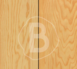 Pino Douglas Europeo – BLANQUER