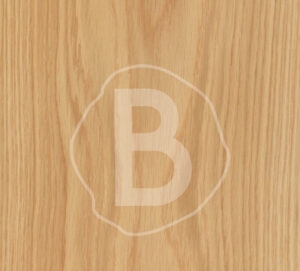 Roble Americano Blanco – BLANQUER